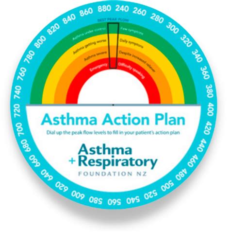 Peak Flow Chart For Asthma Free Peak Flow Chart PDF KB