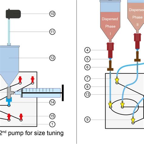 Schematic Depictions Of The Minimal Droplet Generator Setup A