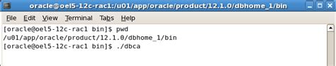 trace of thinking path [oracle 12c rac install 3 of 3 ] create 12c