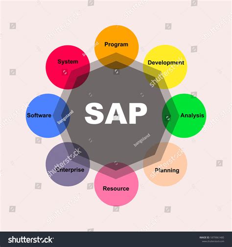 Diagram Concept Sap Text Keywords Eps Stock Vector Royalty Free 1879961485
