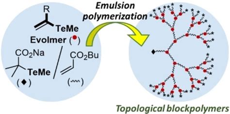 Practical Synthesis Of Dendritic Hyperbranched Polyacrylates And Their Topological Block