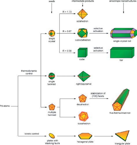Schematic Illustration Of The Reaction Pathways That Lead To Pd