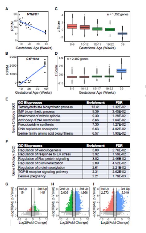 Gene Expression Is Dynamic Across Pregnancy Download Scientific Diagram