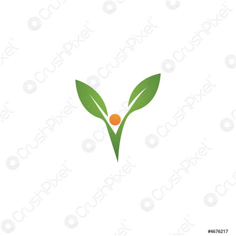 Three Leaf Logo Design Green Leaf Eco Logo Template Vector Stock