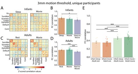 Figure S2 Functional Connectivity In Infants And Adults In Different