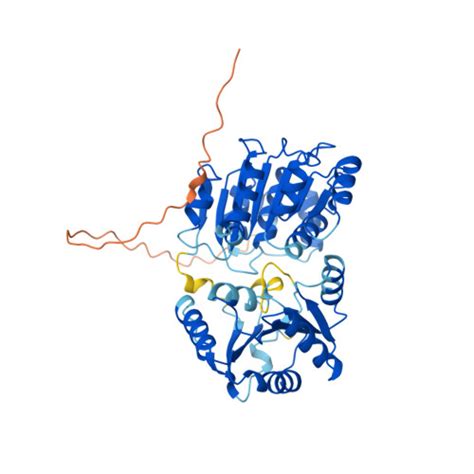 Rcsb Pdb Af Afq29024f1 Computed Structure Model Of Spliceosome Rna Helicase Ddx39b