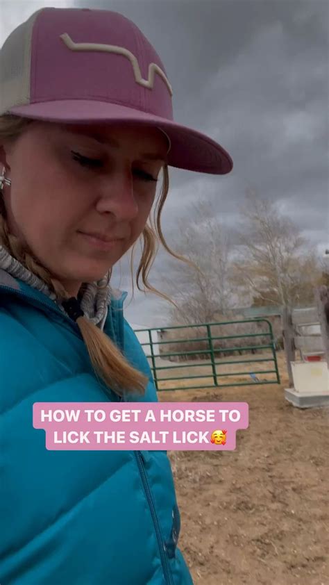 How To Get Your Horse To Lick A Salt Lick Artofit