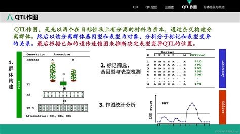 【经验分享】一文带你看懂qtl及qtl作图 Csdn博客