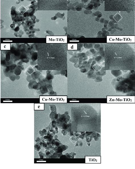 SEM Images Of A W TiO B Co W TiO C Cu W TiO D Zn W TiO Download Scientific