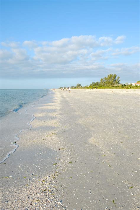 The Great Sanibel Shelling Showdown Lighthouse Beach Vs Blind Pass Beach Red Around The World