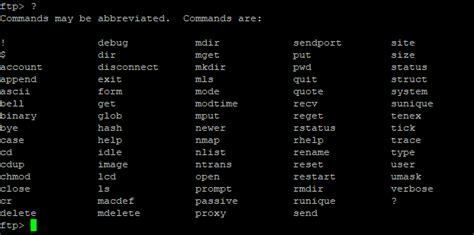 how to set up automated backups for vps and dedicated server hosting