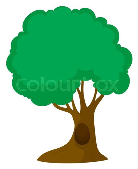 Green Tree With Big Trunk Illustration Stock Vector Colourbox
