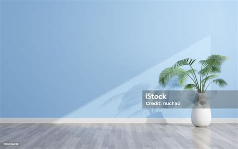 태양 빛의 보기 녹색 식물의 흰색 세라믹 꽃병 블루 빈 벽과 나무 라미네이트 바닥에 그림자를 캐스팅 3d 렌더링 사무실에 대한 스톡 사진 및 기타 이미지 Istock