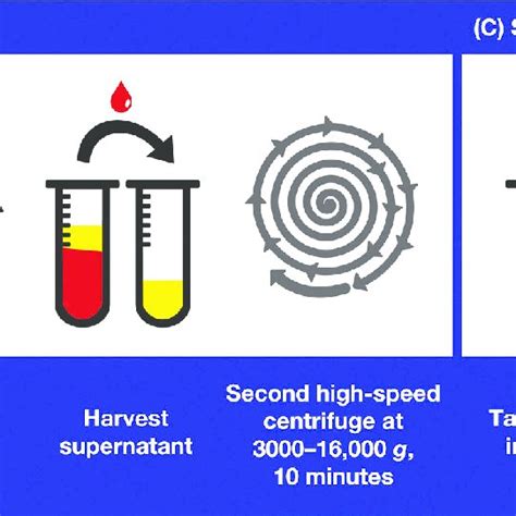 Obtaining Plasma Samples For CtDNA Analysis Recommended Workflow For Download Scientific