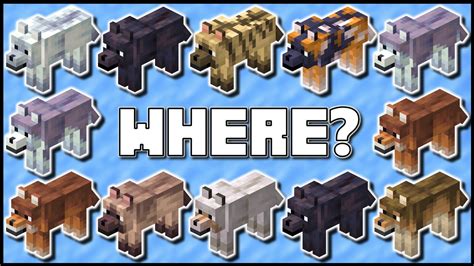 Minecraft How To Get All 9 Wolf Variants Java Bedrock Youtube