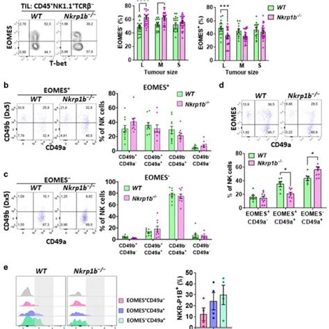 Signaling Interactions Between Nk Cells And Cancer Cells In The Tumor