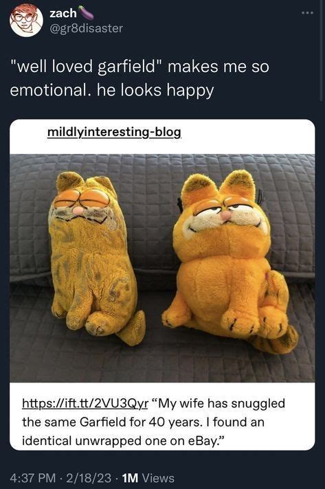 A Collection For A Well Loved Garf A Bonus Picture For Anyone Who