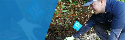 Non Toxic Gopher Control And Trapping In San Francisco Bay Area Non Toxic Gopher Control And Trapping In San Francisco Bay Area