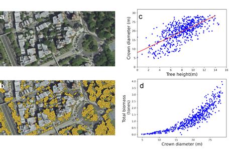 Multispectral Naip Imagery A And The Corresponding Segmentation For