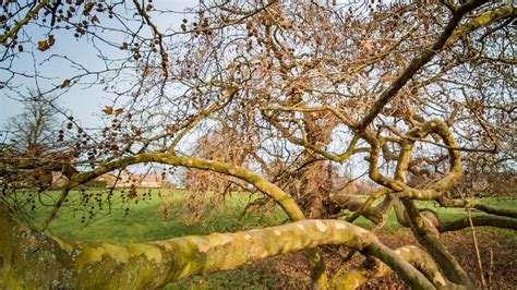 Buy A Raspberry Pi Camera Module 3 Raspberry Pi