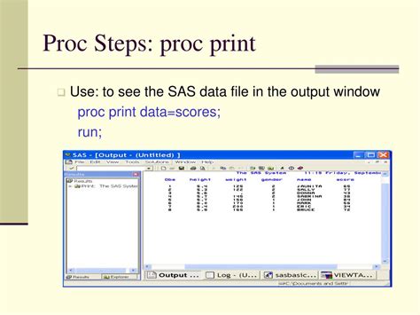 ppt sas basics powerpoint presentation free download id 1574436