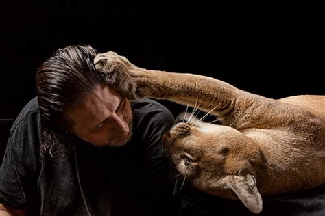 ველური გატაცება