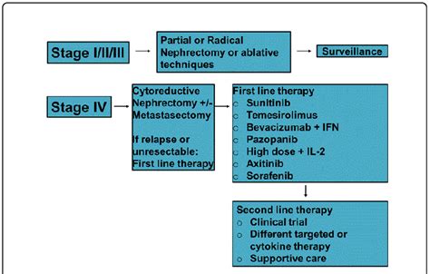 Currently Approved Treatments For RCC Download Scientific Diagram