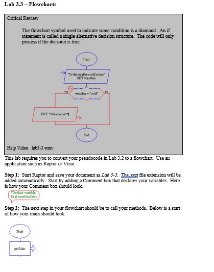 Lab Flowcharts Critical Review The Flowchart Chegg