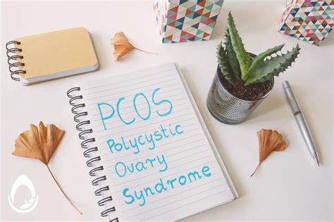 Pcos Polycystic Ovary Syndrome Penyebab Dan Pengobatan