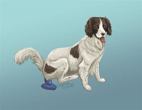 Rule 34 2024 Ambiguous Gender Ambiguous Penetrated Ambiguous