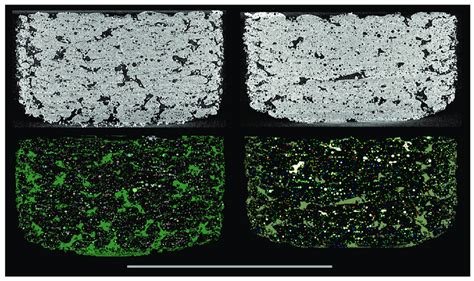 The 3d Volume Renderings Of The Sls Printed Specimens Printed At 55 W Download Scientific
