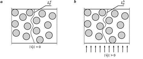The Visualization Of The Tortuosity Definition A Geometric B Download Scientific Diagram