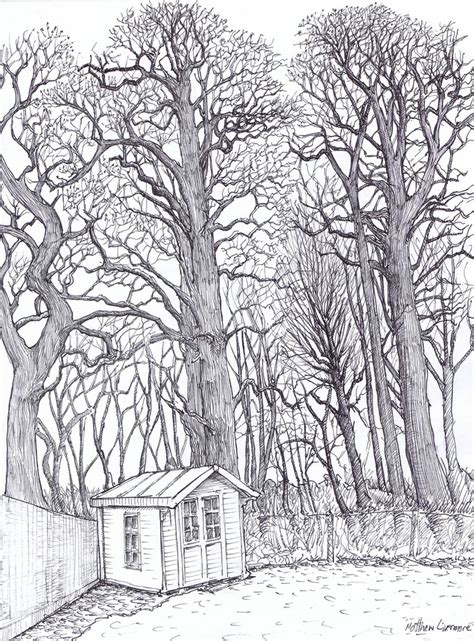 Garden With Bare Trees Drawing