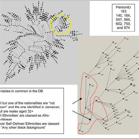 11 the figure shows the positioning on the mst graph of subjects