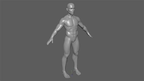 Human 3d Model Turbosquid 2064909