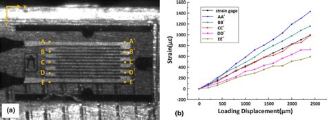 Field Of View Of Strain Measurement A 10 Selected Point For Dic Download Scientific Diagram