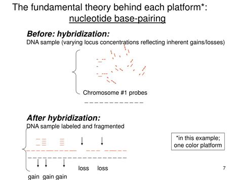 Ppt Comparison Of Comparative Genomic Hybridization Technologies Across Microarray Platforms
