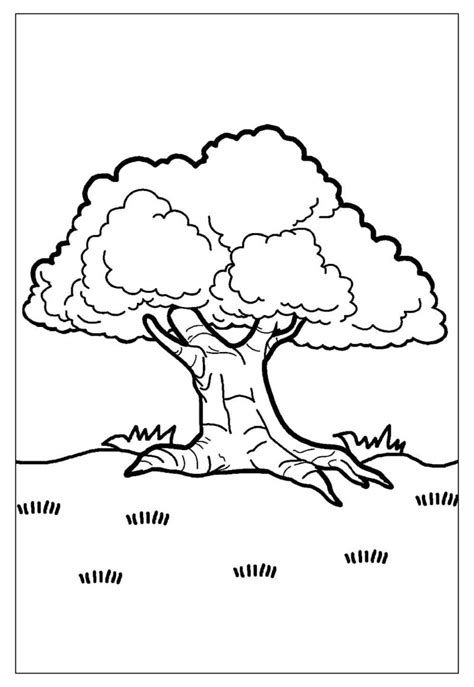 Desenhos De Árvore Para Colorir E Pintar Tudo Para Colorir