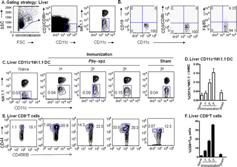 Both Cd11c Nk1 1 2 Dc And Cd8 T Em Cells Cd44 Hi Cd45rb Lo Download Scientific Diagram