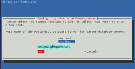 Install And Use Bareos Backup Solution On Debian 11debian 10 Computingforgeeks