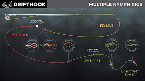 What Fly Line Setups For Trout Should You Use