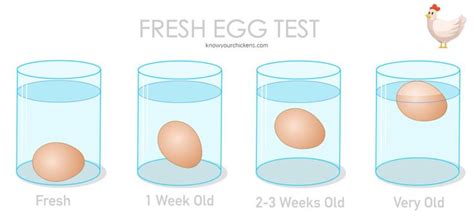 An Egg Is In A Glass With Water And Eggs Are On The Side Next To Each Other