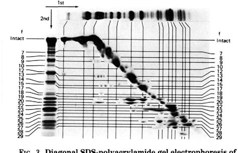 Figure 1 From Divalent Cation Modulation Of Fibronectin Binding To