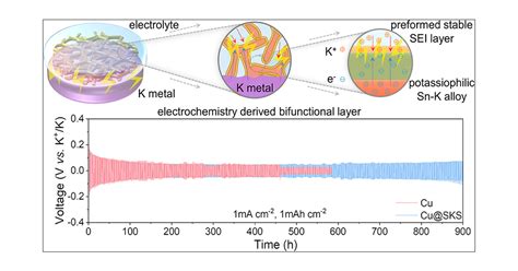 Bifunctional Alloysolid Electrolyte Interphase Layer For Enhanced Potassium Metal Batteries Via