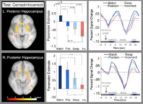 Figure 1 From Medial Temporal Lobe Activity Predicts Successful Relational Memory Binding
