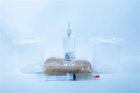 Grain Spawn 100gm Mycelium Mushroom Culture The Australian Made Campaign