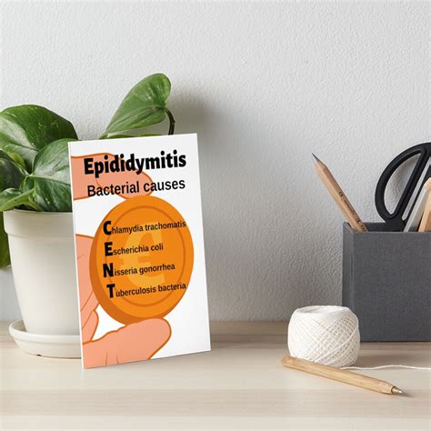 Lámina Rígida «epididimitis Causas Bacterianas Cent Medical Mnemonic De Caregiverology Redbubble