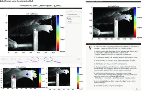 labeling gui the toolbox contains a labeling gui that allows for download scientific diagram