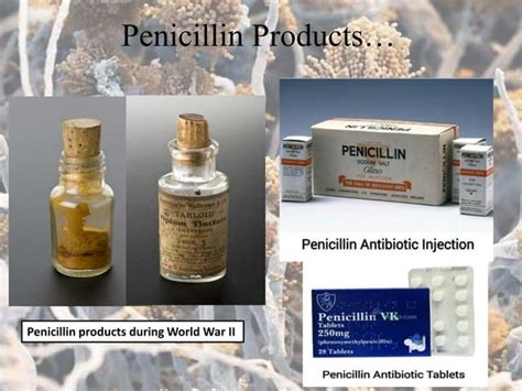 Penicillin Fermentation Process Industrial Production Of Penicillin