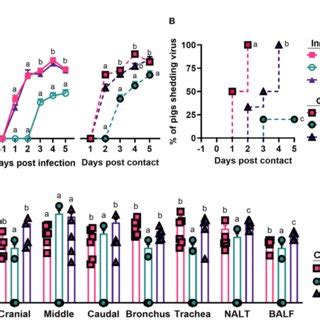 FIGURE E Viral load of contact pigs. (A) Virus titers in nasal swabs of... | Download Scientific ...
